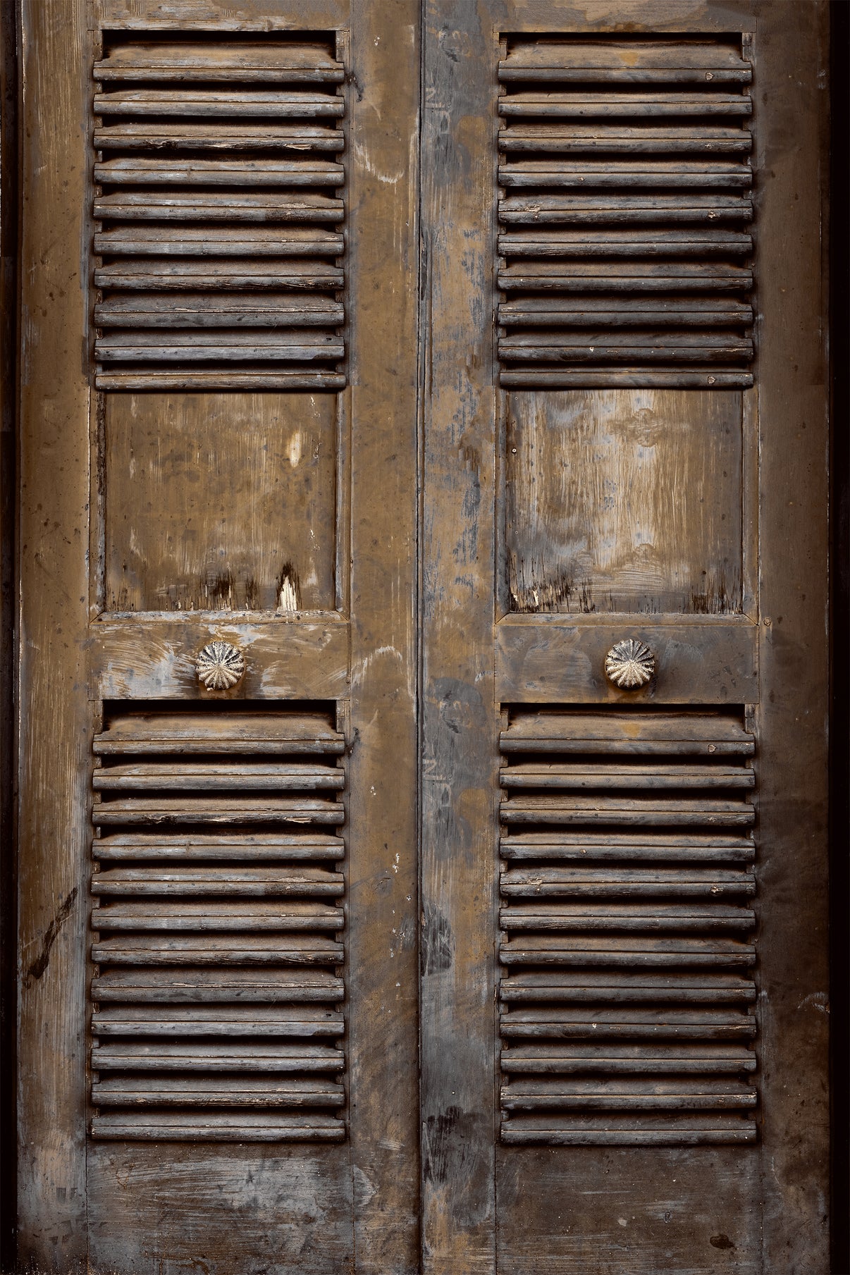 Photography Backdrop | Gothic Shutters – Blueberry Backdrops