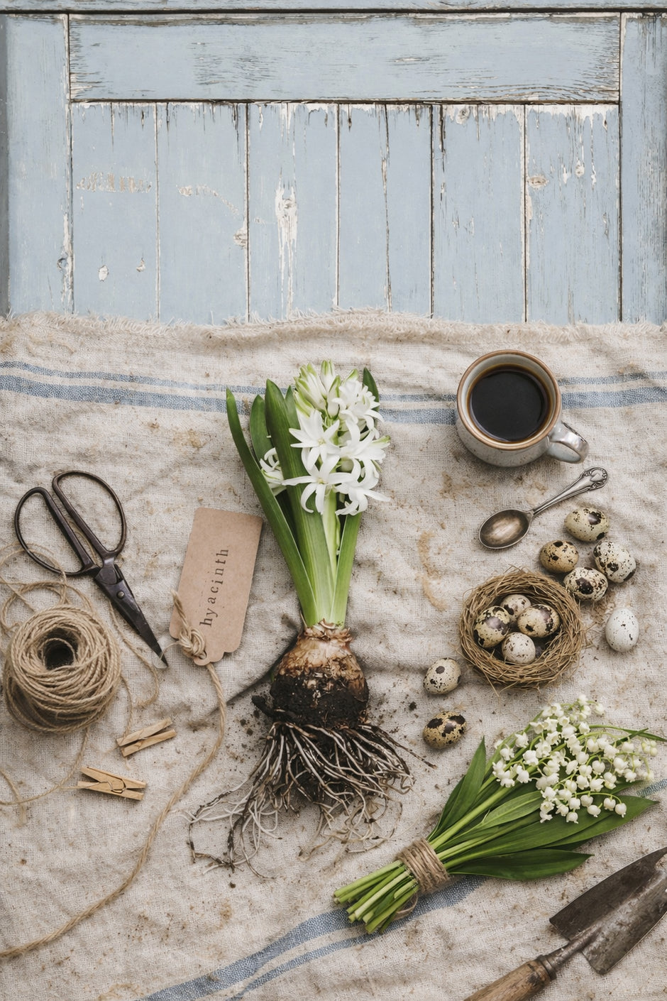Spring 2025 | Photography Backdrop Collection – Blueberry Backdrops