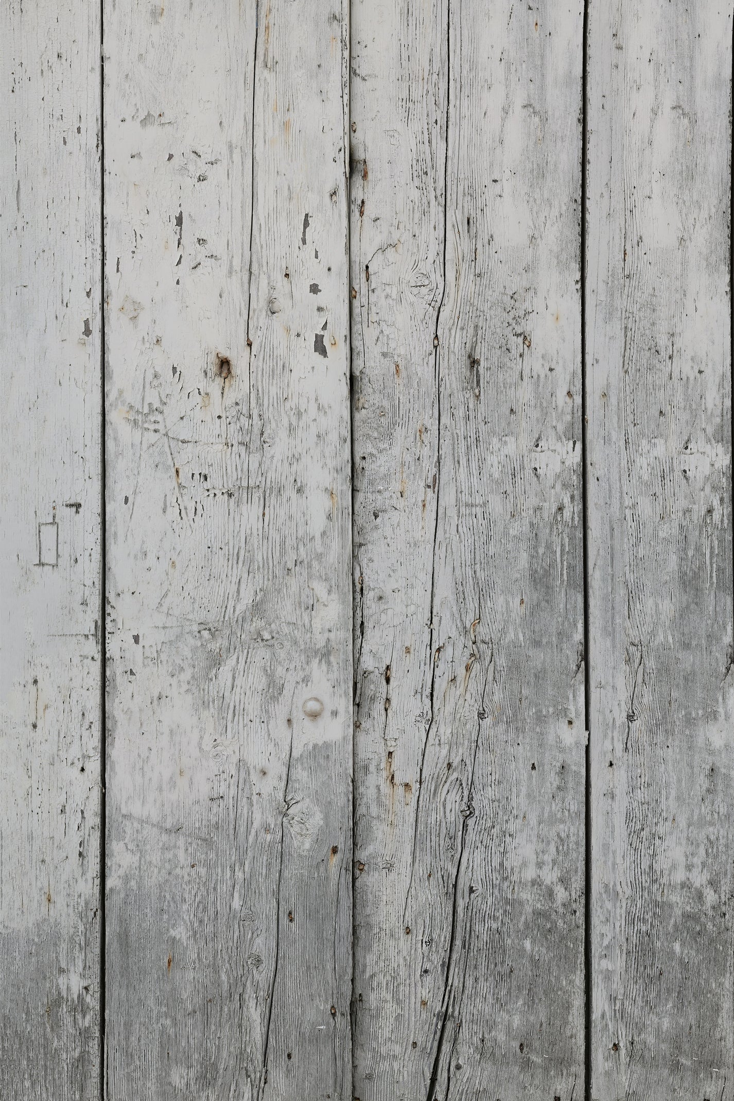 Photography Backdrop | Workshop White – Blueberry Backdrops