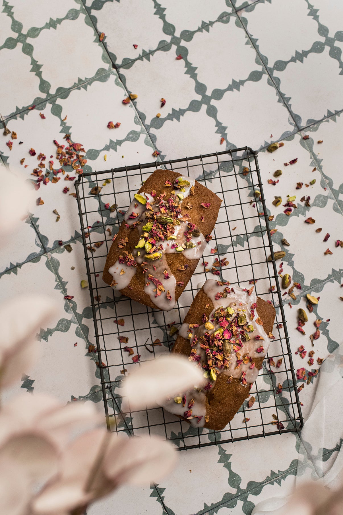 Photography Backdrop | Catalan Green – Blueberry Backdrops