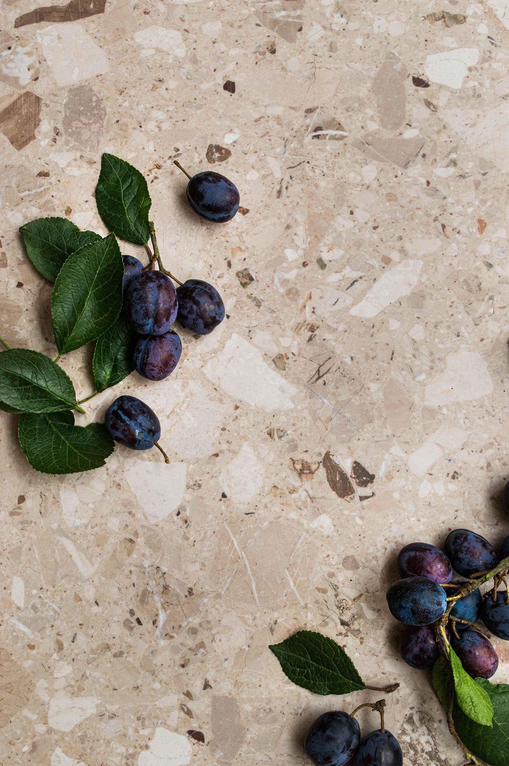 Photography Backdrop | Natural Terrazzo – Blueberry Backdrops