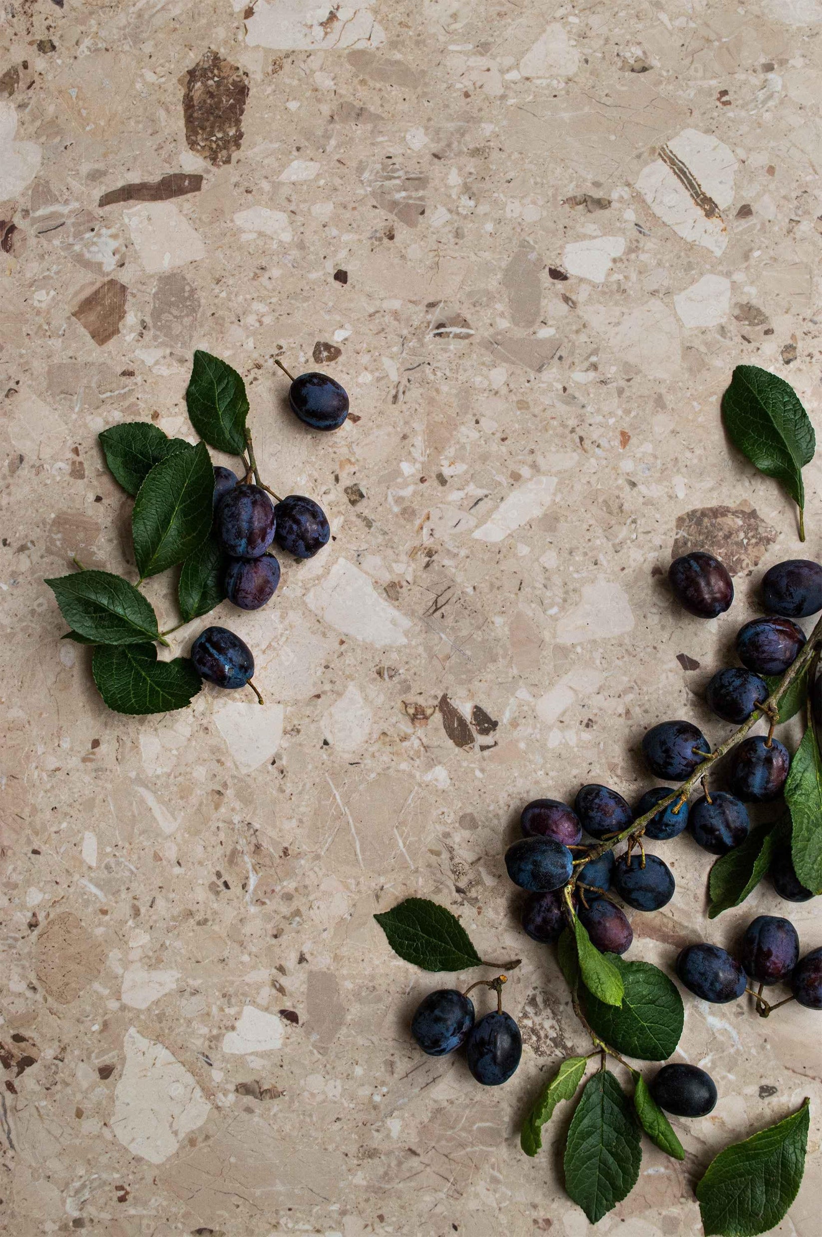 Photography Backdrop | Natural Terrazzo – Blueberry Backdrops